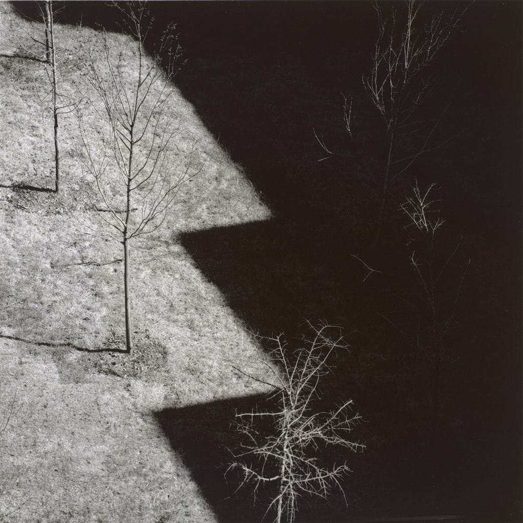 Harry Callahan at 100 at National Gallery of Art | Metroframe's Blog