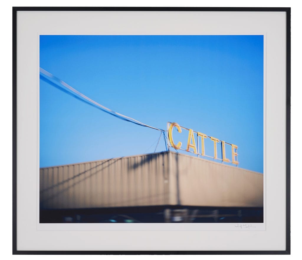 Dave Shafer "Through an Artist's Lens" at Davis and Blevins Gallery in ...